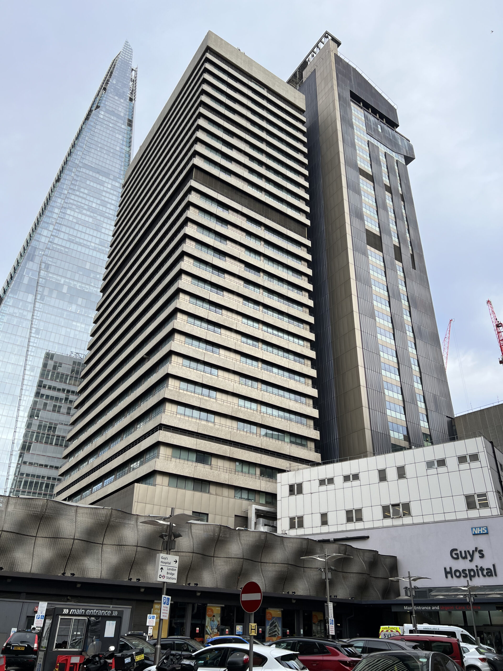 Team – THE FROST LAB